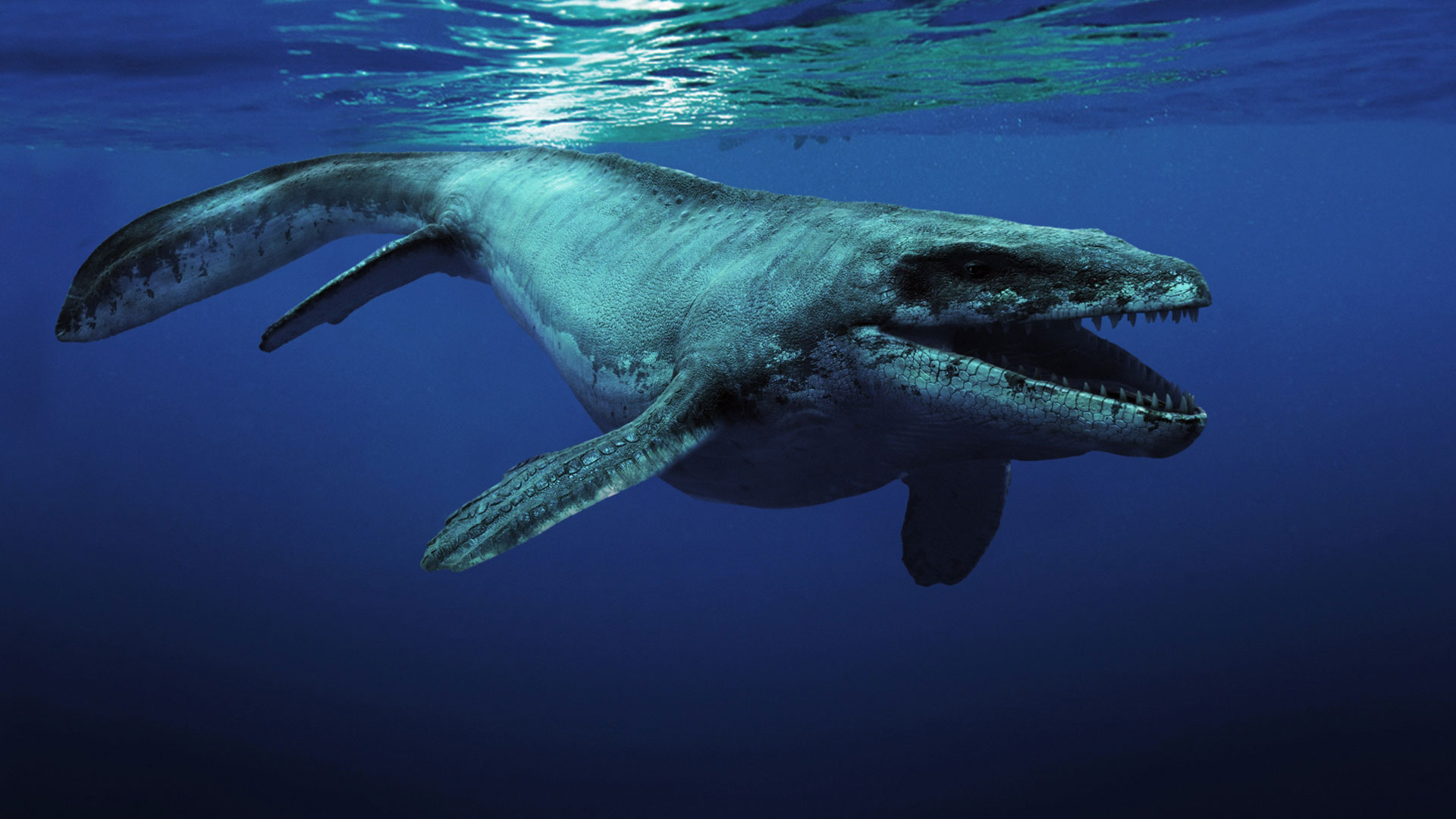 Mosasaurus | Marine & Aquatic Dinosaur Mosasaurus | Dinosaurgeek.com