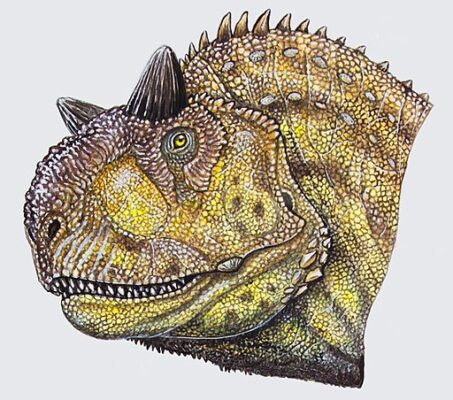 Carnotaurus The "Meat-Eating Bull" | Discover Facts About Carnotaurus