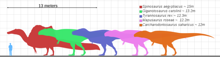 Theropods Dinosaur | Carnivorous Dinosaurs | Theropod