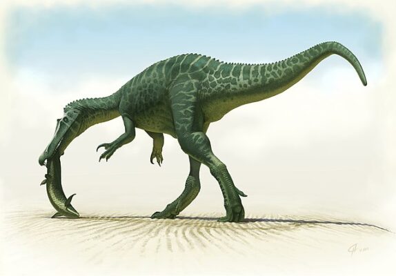 Baryonyx | Baryonyx Facts & Information | Baryonyx Theropod Dinosaur