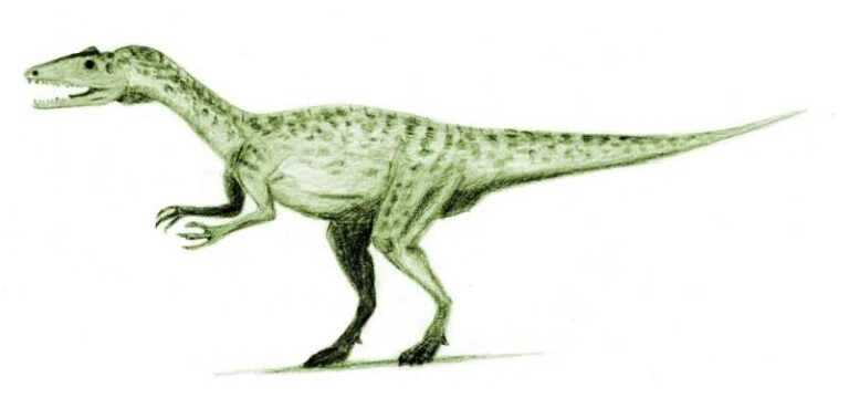 Dinosaur Names Beginning With L | A-Z list of Dinosaur Names