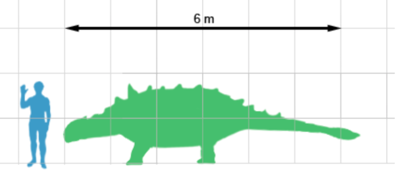 Armoured Dinosaurs | Nodosauridae & Ankylosauria Armoured Dinosaurs