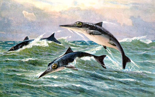 Ichthyosaur | Ichthyosaur Marine Reptiles Facts & Information