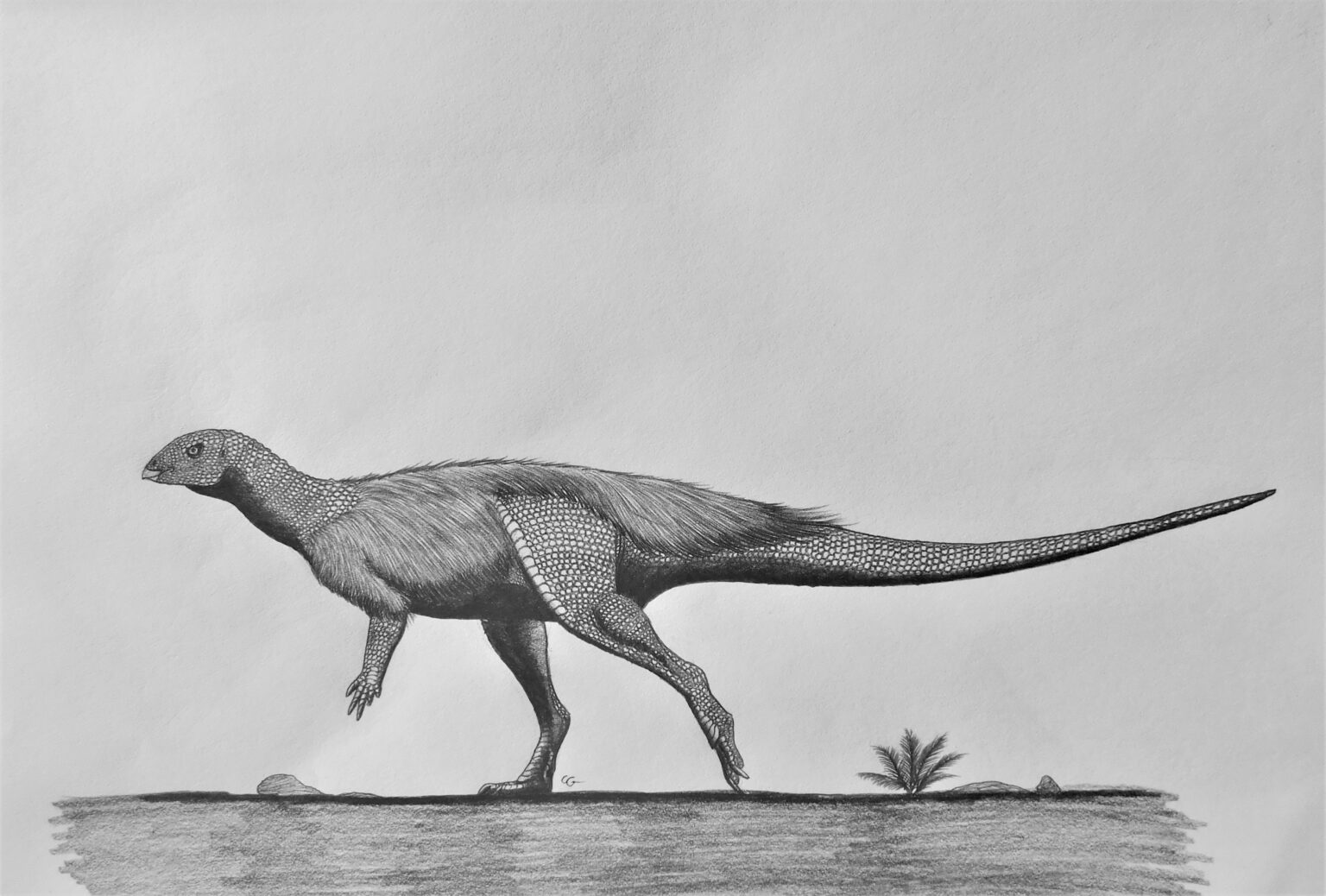 Dinosaurs Names Beginning With The Letter W | Dinosaur Names List